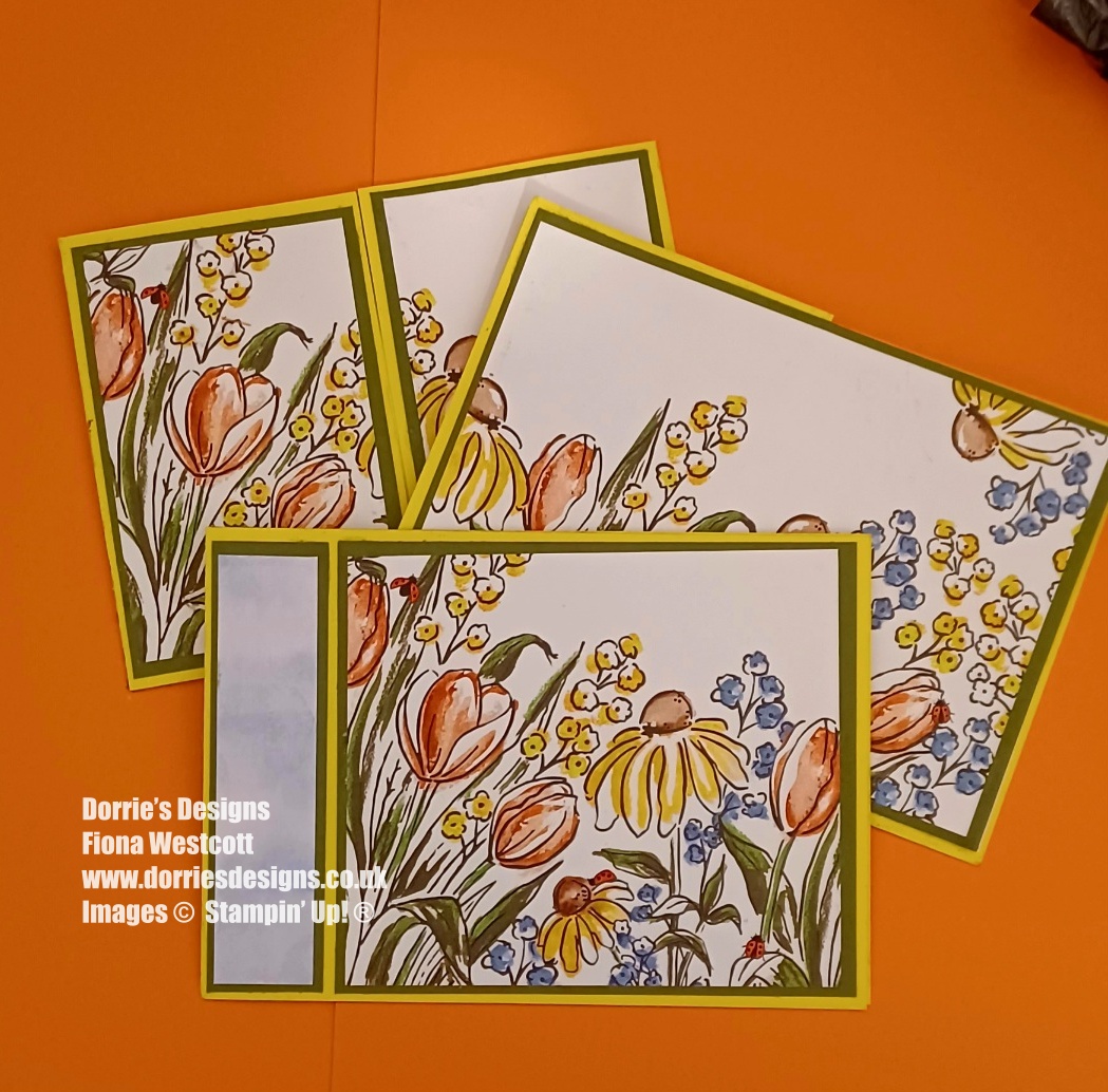 How I used a One Sheet Wonder design to create a batch of greeting cards